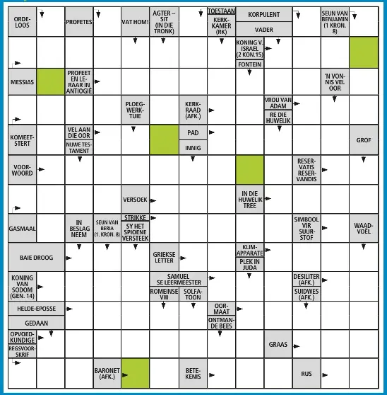 Bybel-blokraai - PressReader