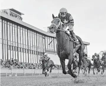 St. Louis family bets big on horse racing in Arkansas - PressReader