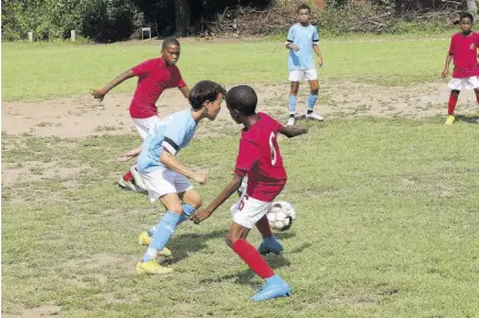 Alberga Cup quarters in full swing today - PressReader