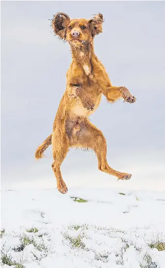 Soldiers train for battlefiel­d by playing Call of Duty - PressReader