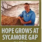 HOPE GROWS AT SYCAMORE GAP - PressReader