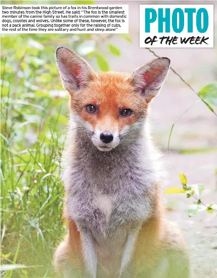 Leadership needed to save our sick Earth - PressReader