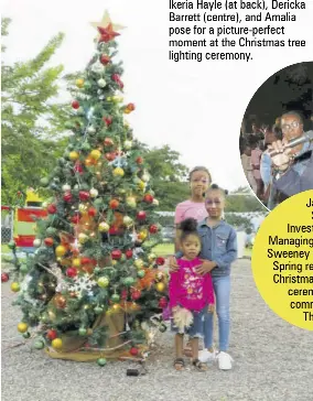 Christmas tree lighting delights Salt Spring residents - PressReader