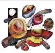 KALA in associatio­n with the Lionel Wendt Art Centre - PressReader