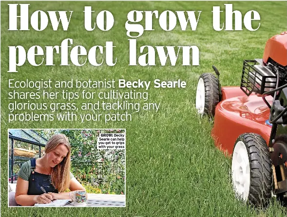 How to grow the perfect lawn - PressReader