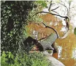 Residents’ shock at deaths of boys in river tragedy - PressReader