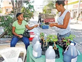 LAS UVAS DE NEIBA, IDEAL PARA HACER VARIOS PRODUCTOS - PressReader