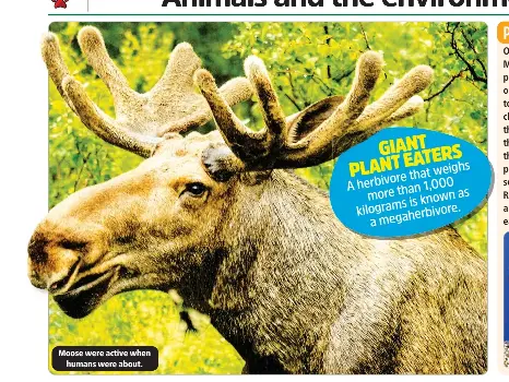 How Covid affected animals - PressReader