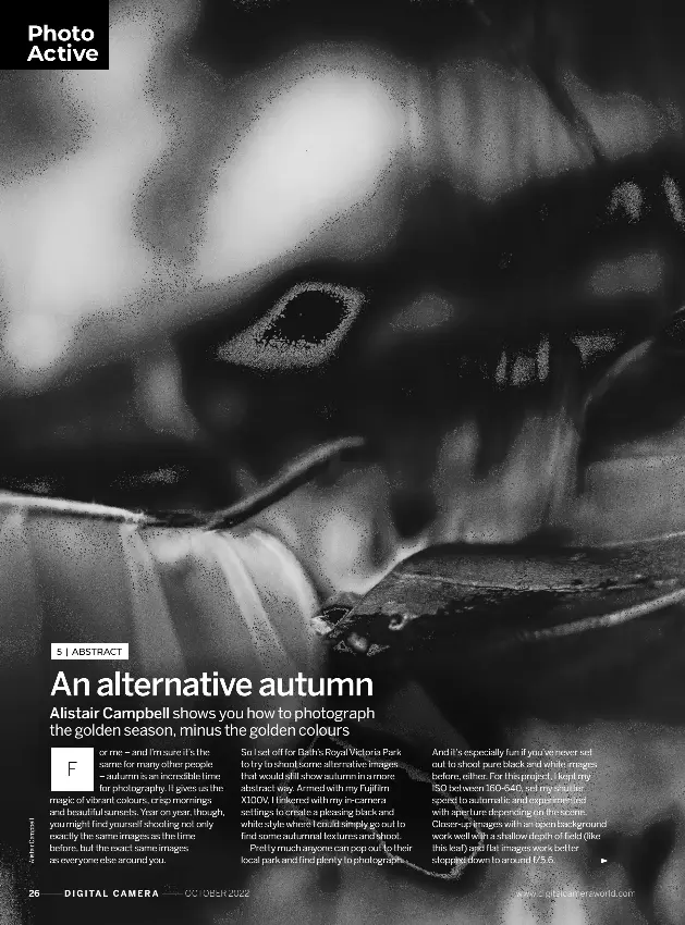 An alternativ­e autumn - PressReader