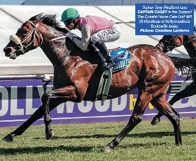 Captain Casey in the right race - PressReader