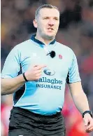 World Cup final TMO quits after online abuse - PressReader