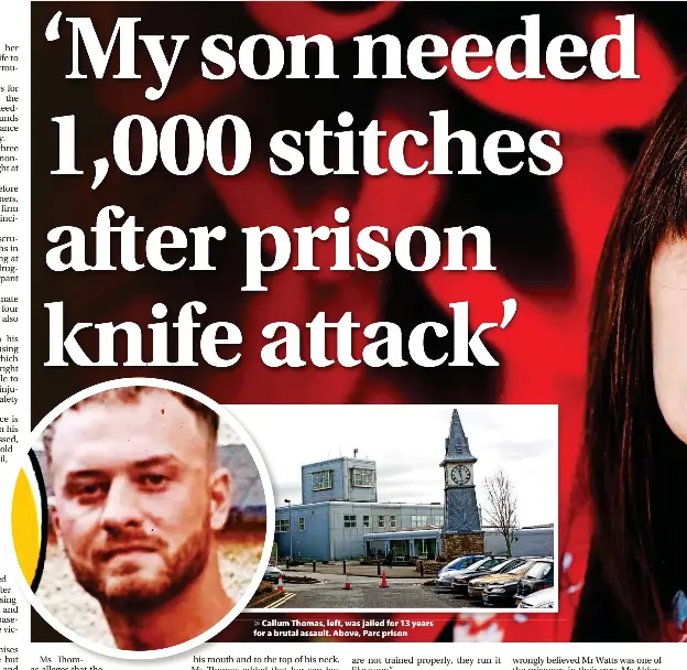 ‘My son needed 1,000 stitches after prison knife attack’ - PressReader