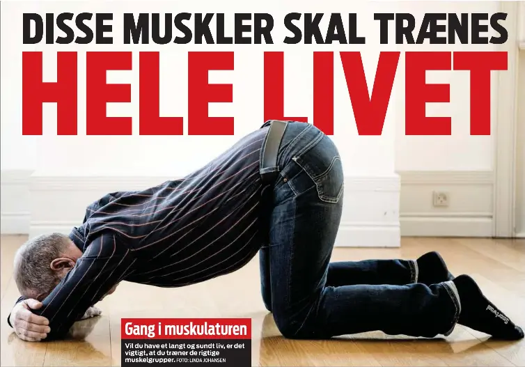 DISSE MUSKLER SKAL TRÆNES HELE LIVET - PressReader