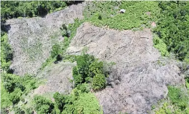 No signs of slowing down - PressReader