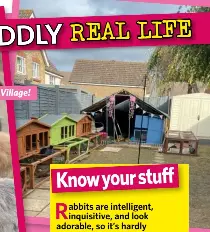 Know your stuff - PressReader