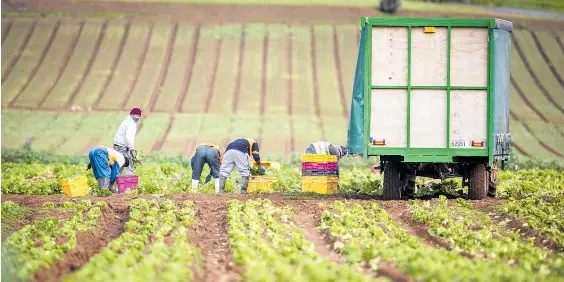 Food growers welcome bid to stave off urban sprawl - PressReader