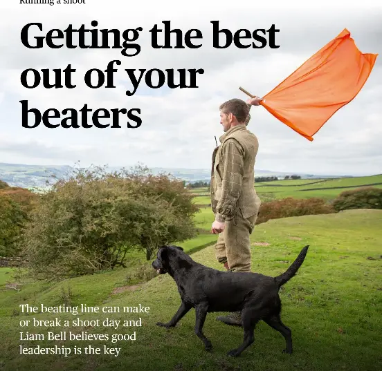 Getting the best out of your beaters - PressReader