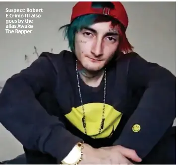 Parade attack that killed 7 was planned by gunman for weeks - PressReader