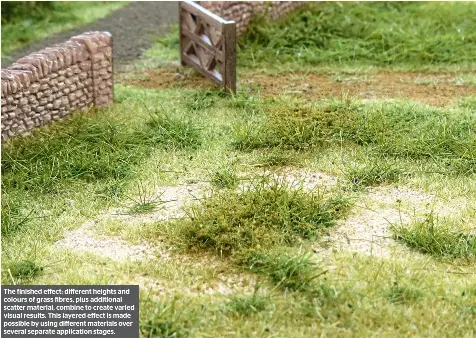 ADD EXTRA TEXTURE AND SHADE TO GREENERY - PressReader