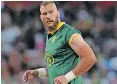 Snyman’s stellar form offers Springboks lock hope - PressReader