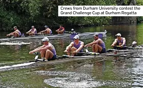 Squads put their oar in as Regatta takes to the Wear - PressReader