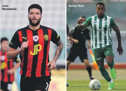 Montebello, Reid among finalists for MFA Player of the Year award ...