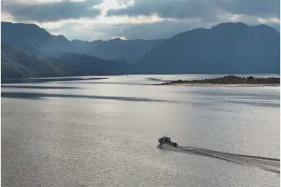 BORN TO BE WILD - PressReader