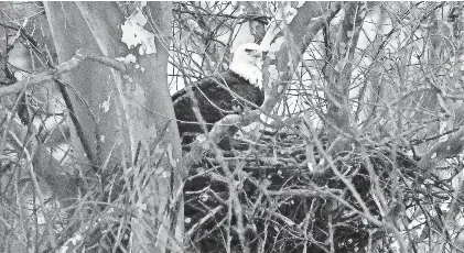 New residents fi nd home on Delaware River - PressReader