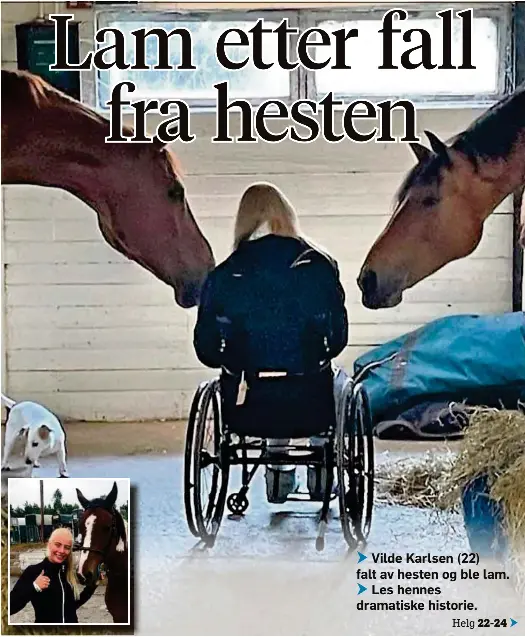 Lam etter fall fra hesten - PressReader