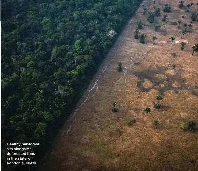 MARK CARWARDINE - PressReader