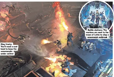 CORPS BLIMEY - PressReader