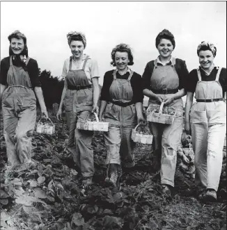 Remarkable tale of Land Army girls in wartime now told online - PressReader