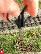 STEP BY STEP - PressReader