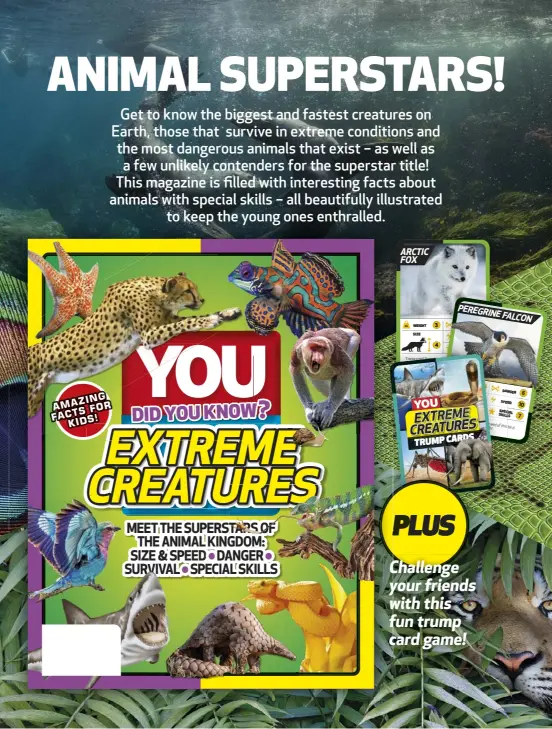 ANIMAL SUPERSTARS! - PressReader