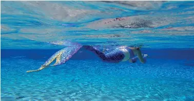 FLORIDA SPRINGS REVISITED - PressReader