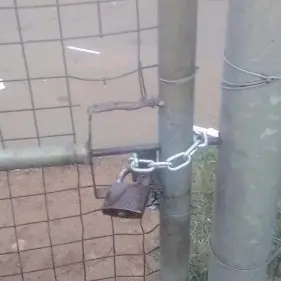 Kuphazamis­eke ukufunda isango likhiywe ngengidi engaziwa - PressReader