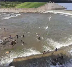Locals risk arrests and drowning to poach fish worth US$30 a day ...