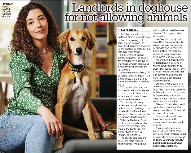 Landlords in doghouse for not allowing animals - PressReader