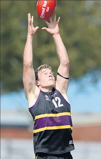 Captain back for Bushies in crucial clash with Cannons - PressReader
