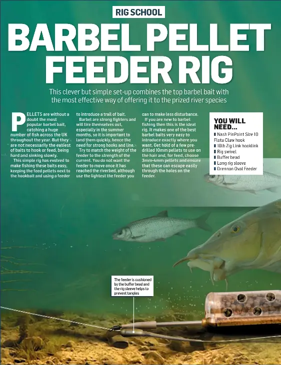 Rig school – barbel feeder - PressReader