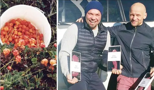 Håndplukke­de multer i overflod ga smakfull ide - PressReader