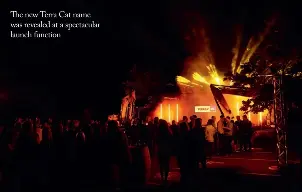 Gough Cat out...Terra Cat in - PressReader