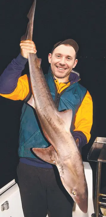 School’s in: Pair snare 10kg shark - PressReader