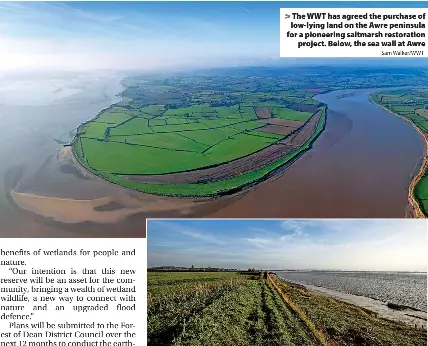 Saltmarsh bid a step closer after farmland deal - PressReader