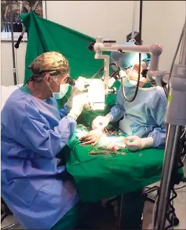 Helping hands - PressReader