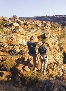 Mount Ceder - PressReader