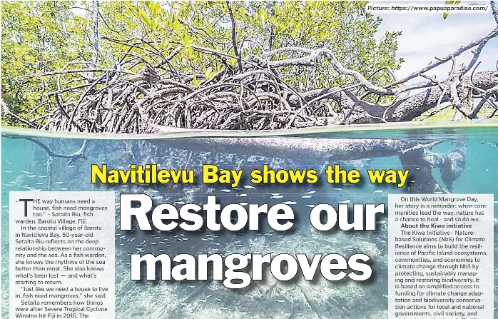 Restore our mangroves - PressReader
