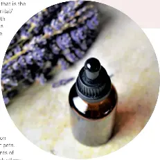 Essential oils for pets - PressReader