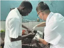 ‘White-coated angels’ from China earn accolades and respect for saving lives - PressReader