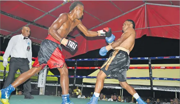 Hill clinches IBO belt - PressReader